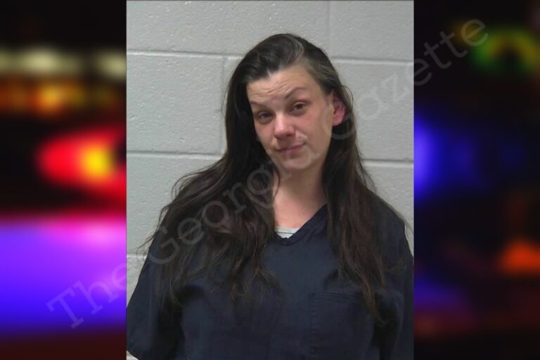 Gilmer County Jail Bookings – The Georgia Gazette