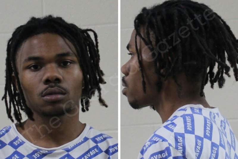 Jalyn Riggins — Houston County Jail Bookings