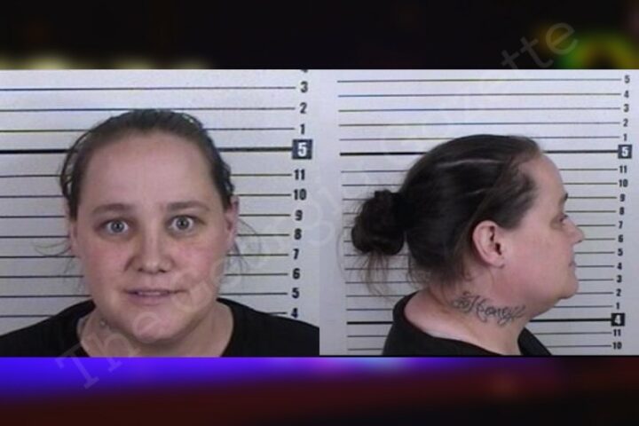 Michelle Rodriguez — Camden County Jail Bookings