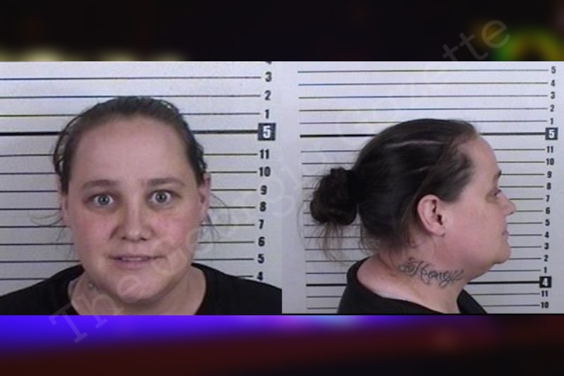 Michelle Rodriguez — Camden County Jail Bookings