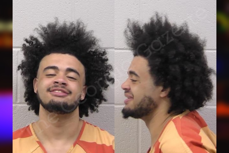 Noah Rowlls — Paulding County Jail Bookings