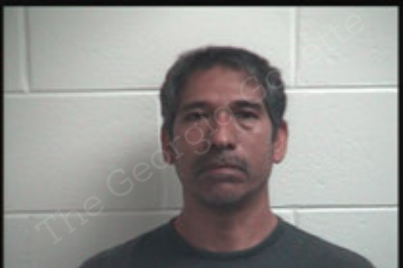 Martin Sanchez Corona — Henry County Jail Bookings