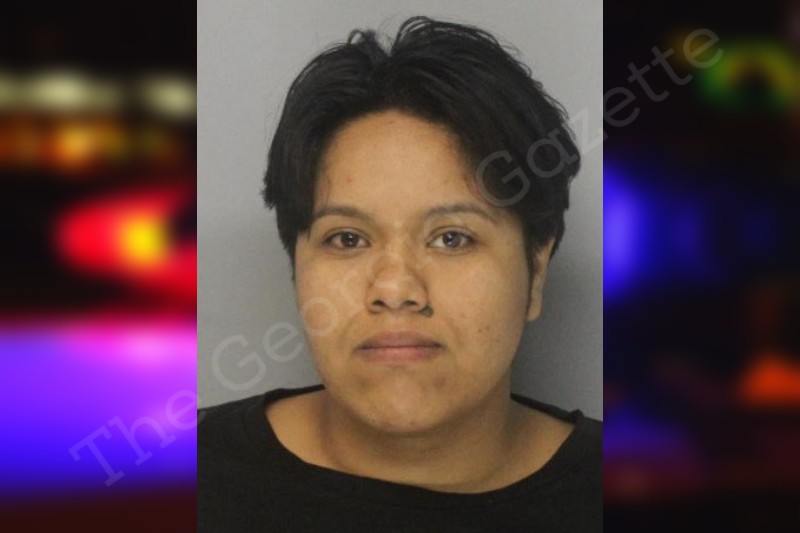 Magali Sanchez — Hall County Jail Bookings