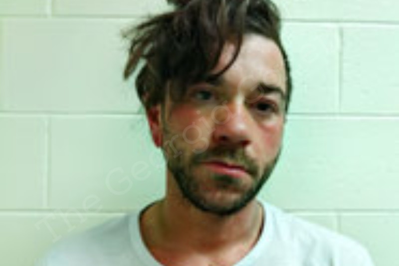 Brandon Smith — Henry County Jail Bookings