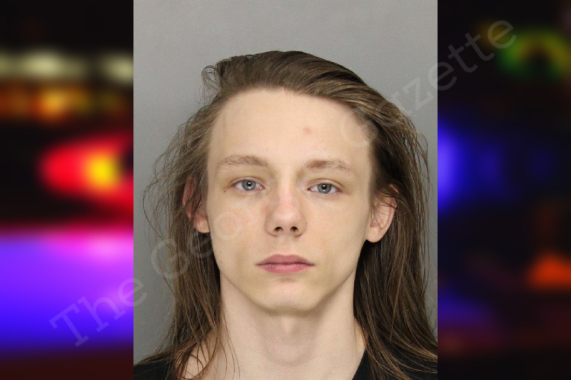 Gavin Smith — Cobb County Jail Bookings