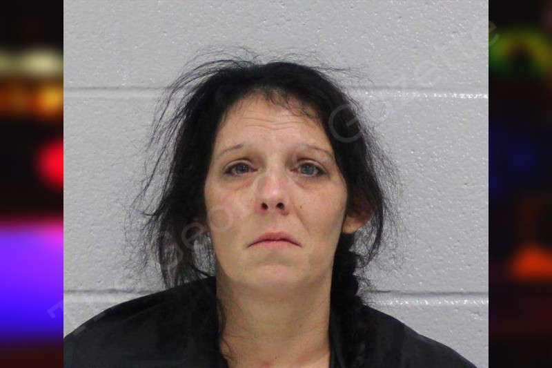 Jamie Sparks-Ruth — Carroll County Jail Bookings