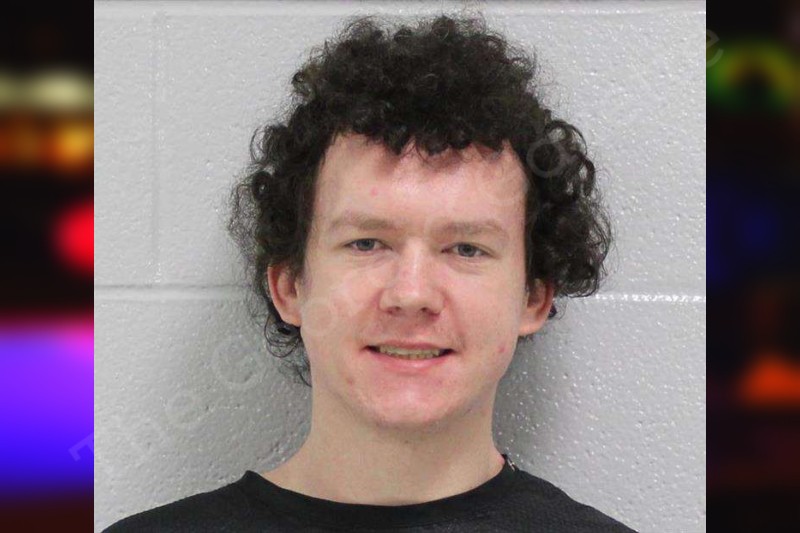 Daylee Strickland — Carroll County Jail Bookings