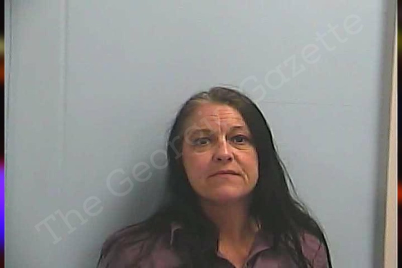 Kelley Sanders — Dawson County Jail Bookings