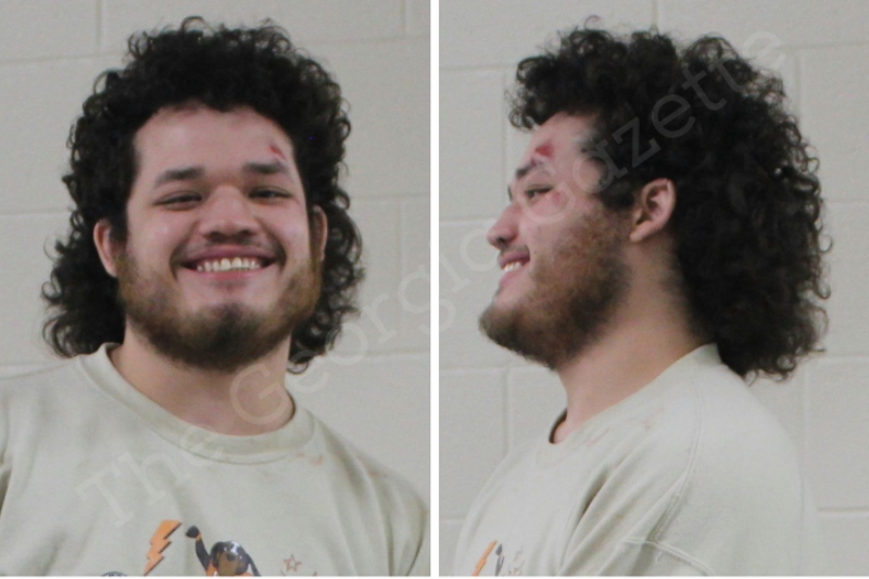 Austin Shell — Houston County Jail Bookings