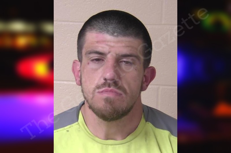 James Simpson — Walker County Jail Bookings