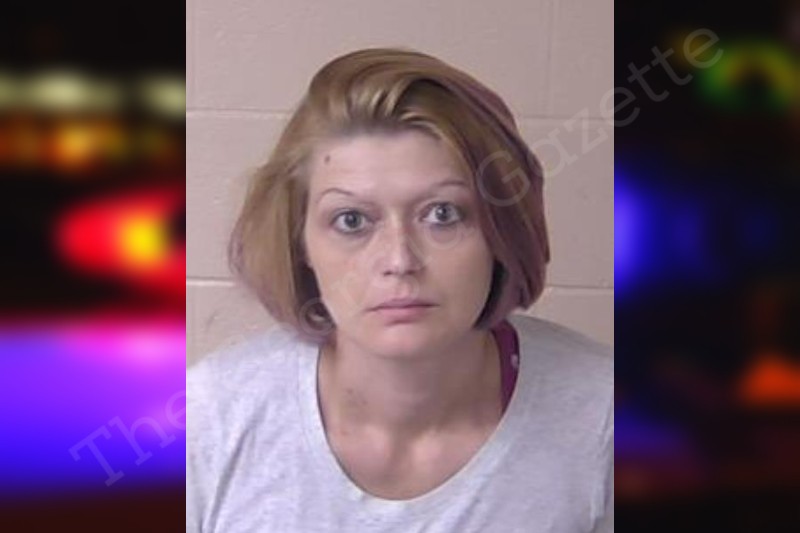 Ashley Smith — Walker County Jail Bookings