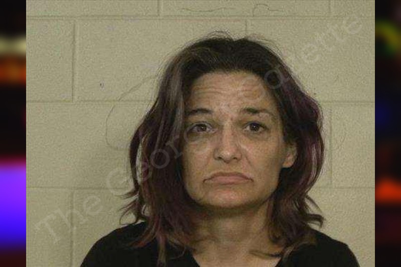 Gina Smithson — Liberty County Jail Bookings