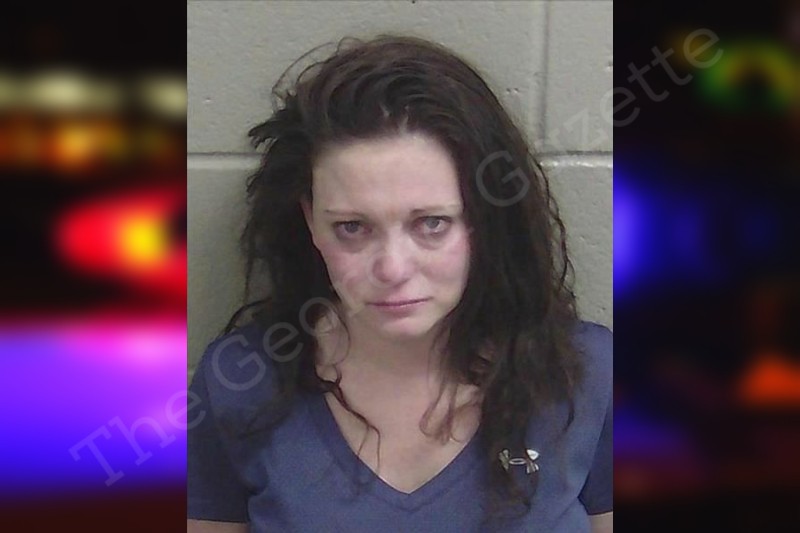 Stacey Spell — Wayne County Jail Bookings