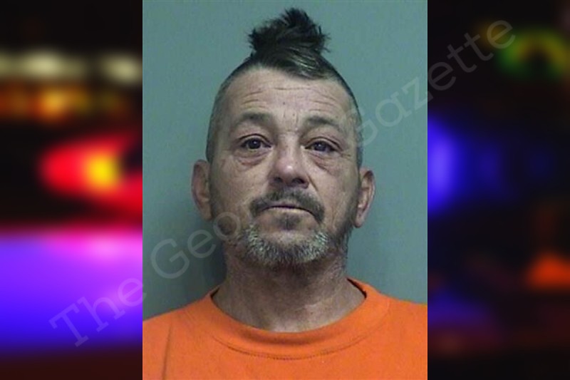 William Stout — Effingham County Jail Bookings