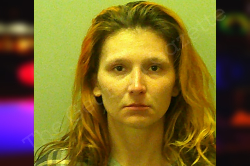 Jessica Strickland — Towns County Jail Bookings