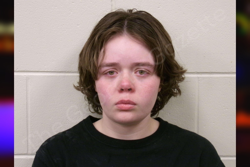 Shelly Tanner — Bulloch County