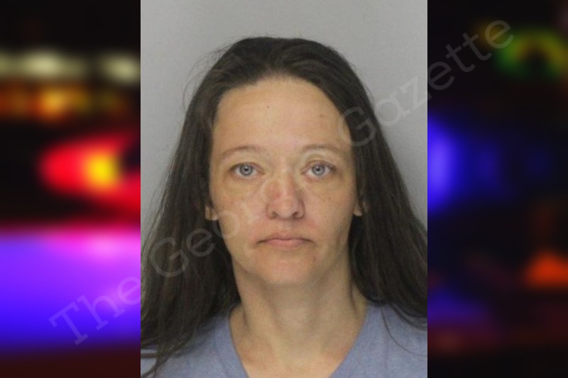 Stephanie Voyles — Hall County Jail Bookings