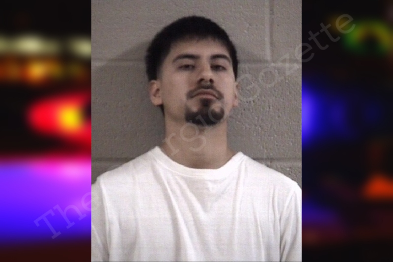 Bryan Verdel — Whitfield County Jail Bookings