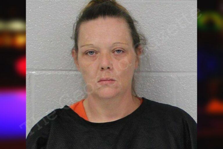 Mindy Warren — Carroll County