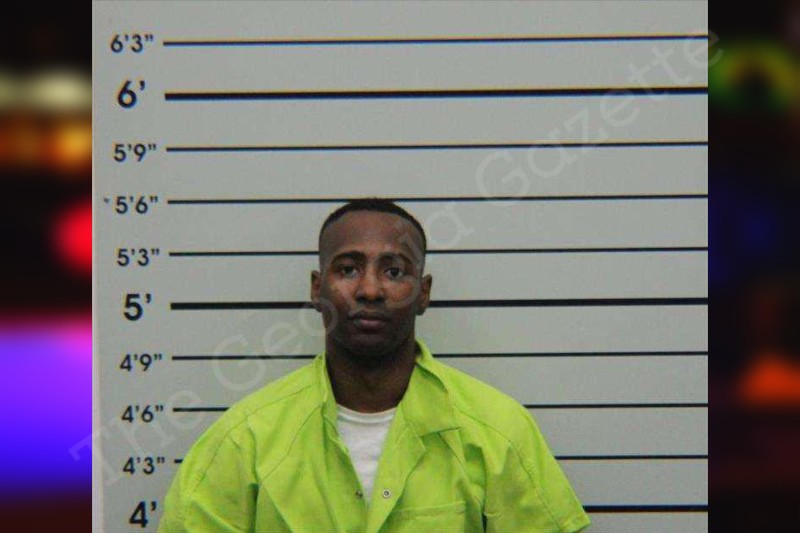 Dominique Wisdom — Turner County Jail Bookings