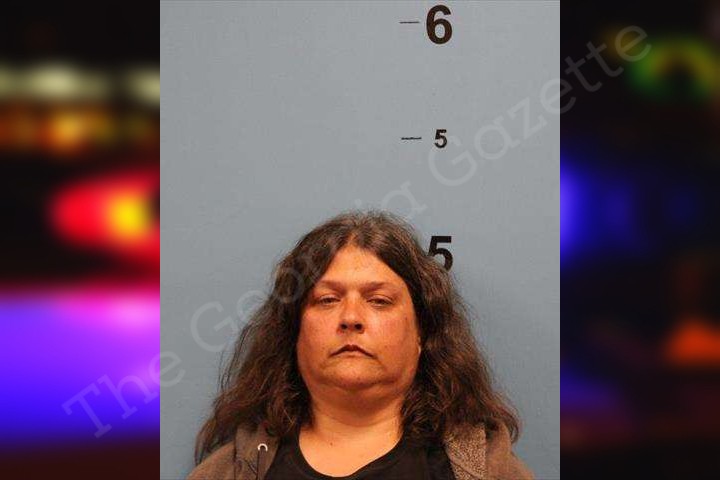 Amy Zellner — Monroe County Jail Bookings