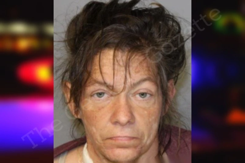 Cindy Alam — Hall County