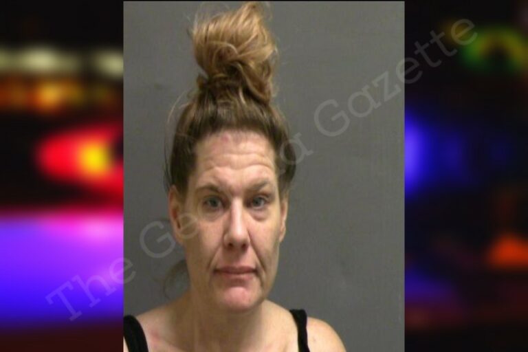 Jennifer Ahnberg — Glynn County Jail Bookings