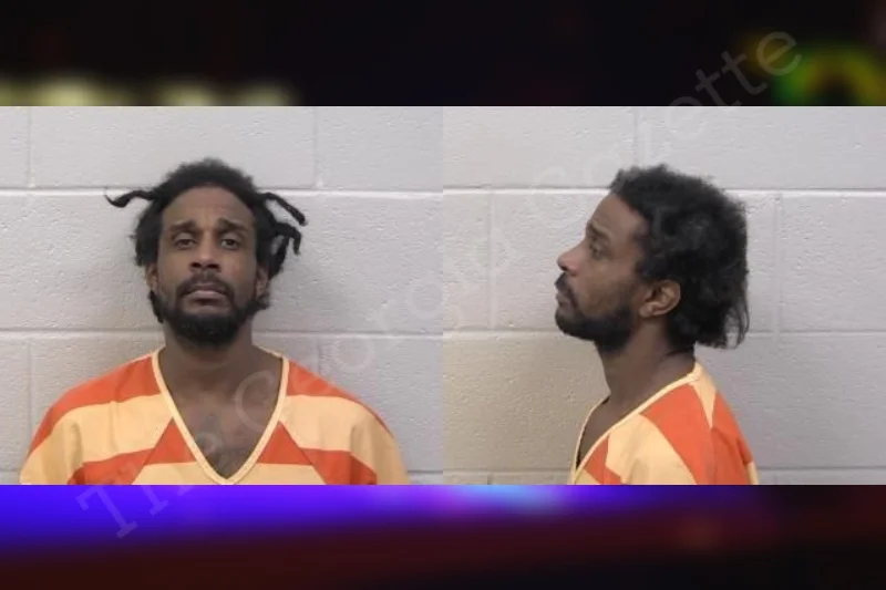 Dennis Allen — Paulding County Jail Bookings