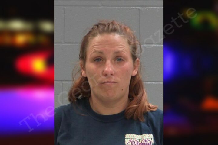 Megan Batchelor — Baldwin County Jail Bookings