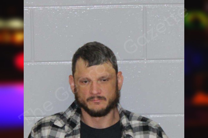 Kyle Blevins — Morgan County Jail Bookings