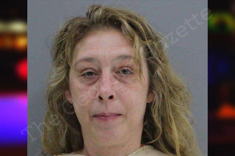 Heather Bowser — Rabun County Jail Bookings