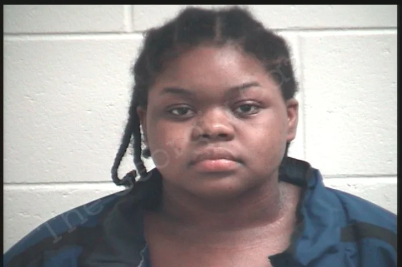 Taylor Boyce — Henry County Jail Bookings