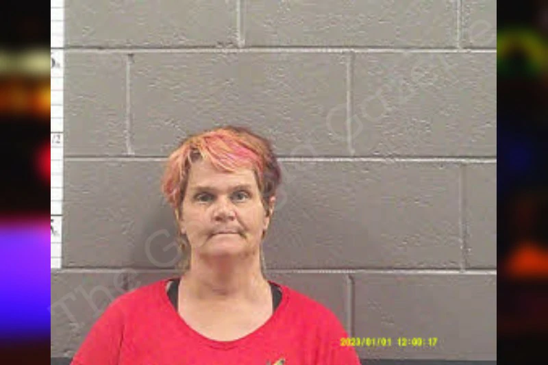 Brandy Ingram — Banks County Jail Bookings