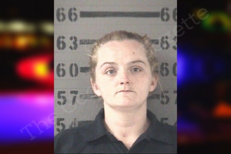 Taylor Bridges | Dougherty County Jail Bookings