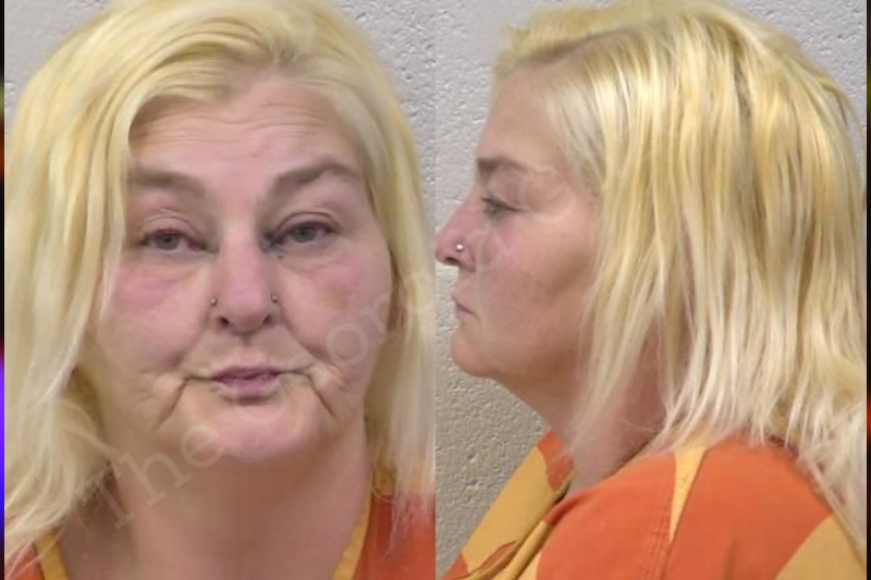 Lisa Buckhanan — Paulding County Jail Bookings