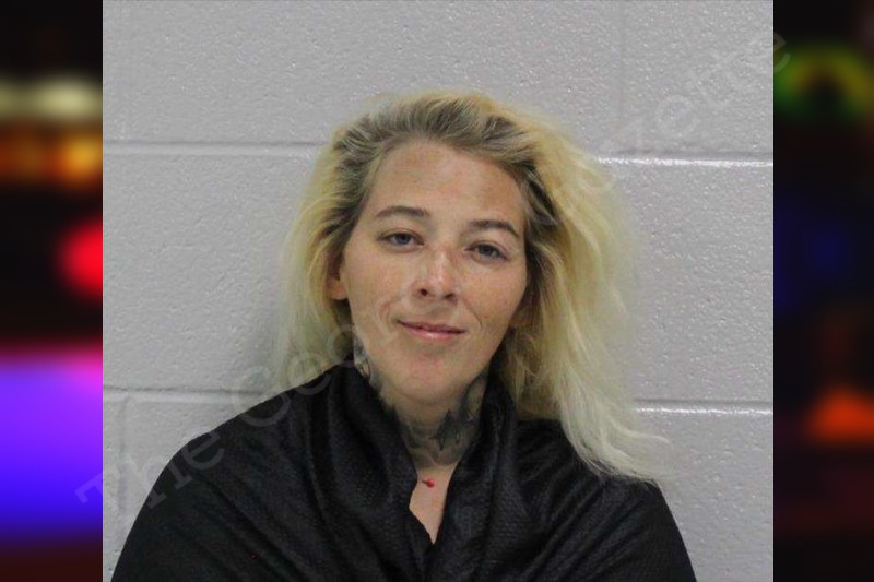 Megan Cates — Carroll County Jail Bookings