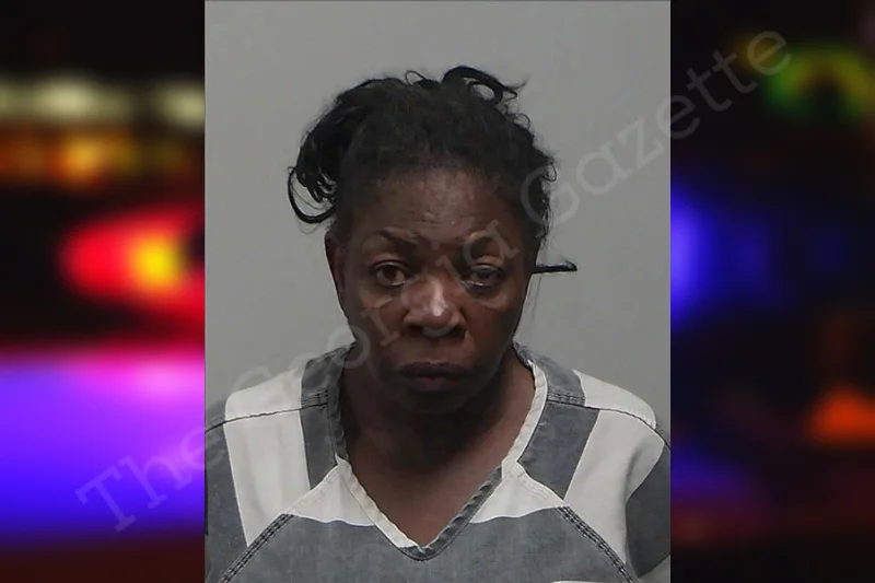 Debra Chancey — Tift County Jail Bookings