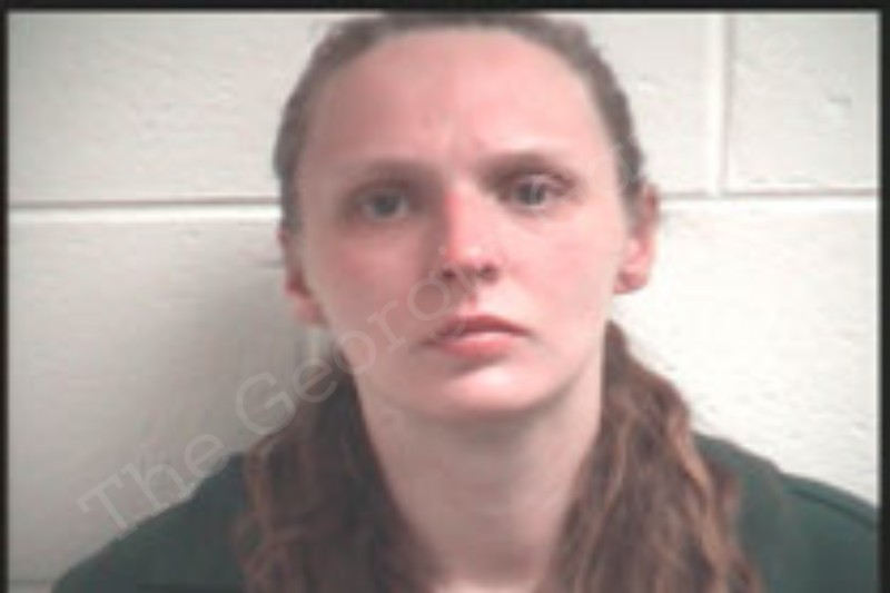 Ashlyn Clarke — Henry County Jail Bookings