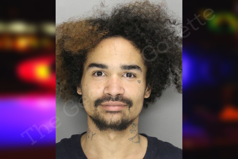 Sean Cockrell — Cobb County Jail Bookings