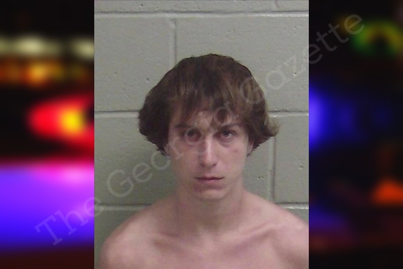 Mason Collins — Wayne County Jail Bookings