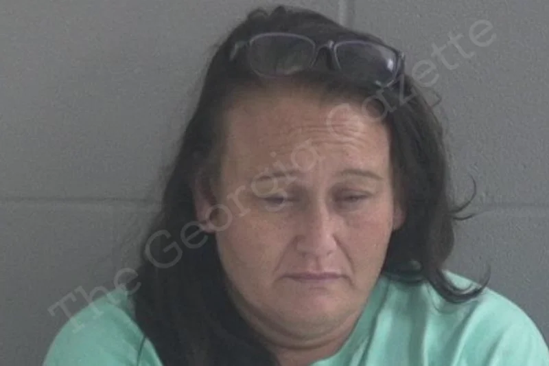 Amy Dean — Brantley County Jail Bookings