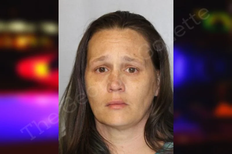 Rebecca Delk — Hall County Jail Bookings