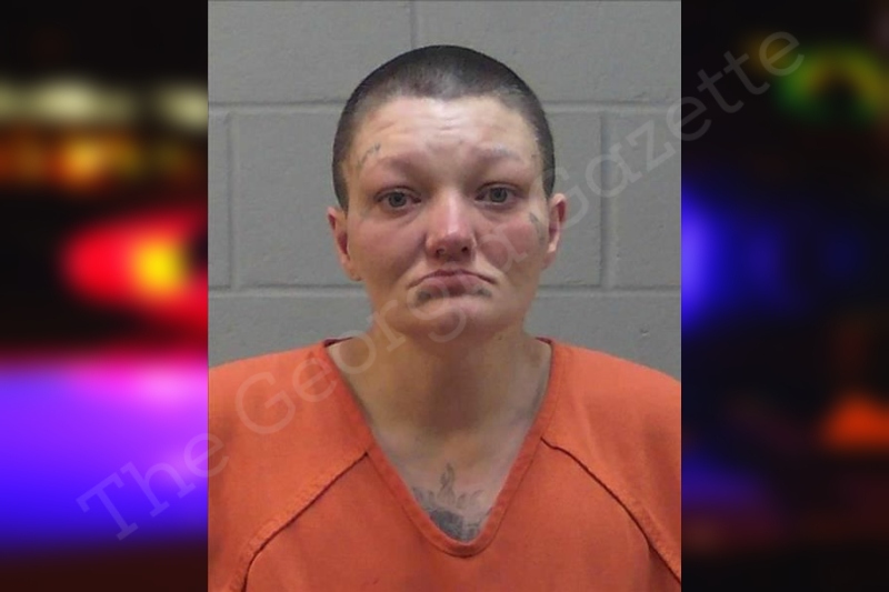 Jennifer Dillard — Madison County Jail Bookings