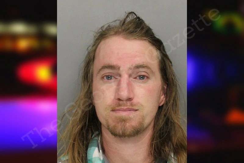 Derek England — Cobb County Jail Bookings