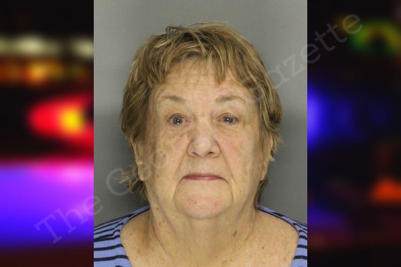 Nancy Fleming — Cobb County Jail Bookings