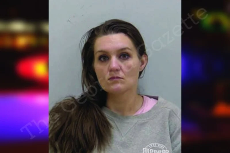 Andrea Fields — Bartow County Jail Bookings