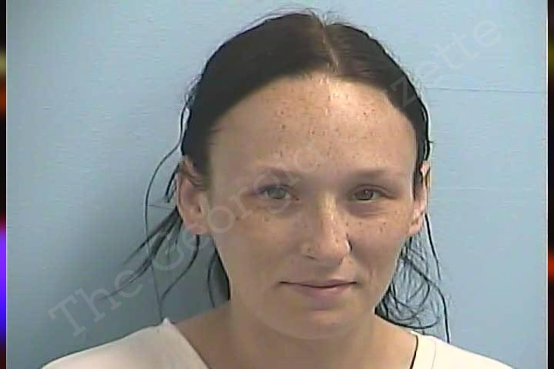 Katie Fouts — Dawson County Jail Bookings