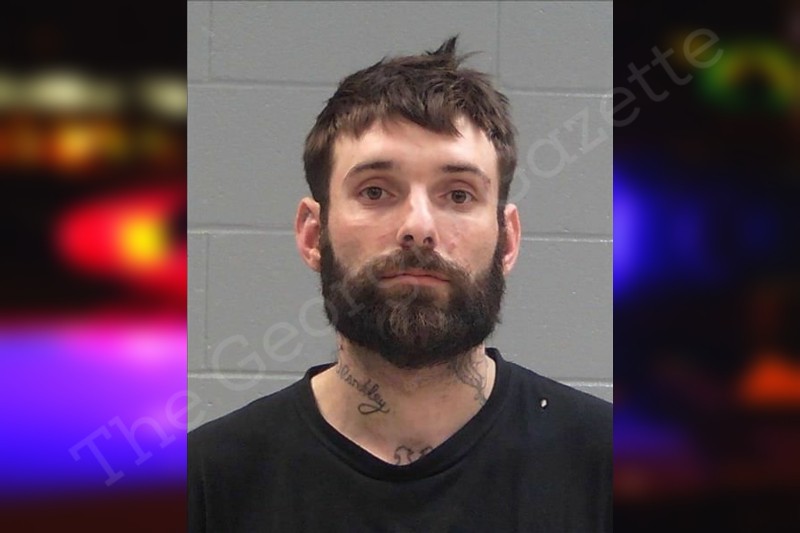 Matthew Gabriel — Baldwin County Jail Bookings