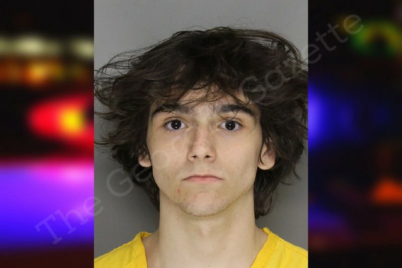 Jacob Grimm — Cobb County Jail Bookings