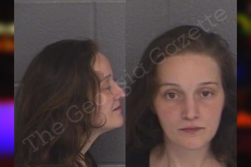 Rachel Gant — Barrow County Jail Bookings